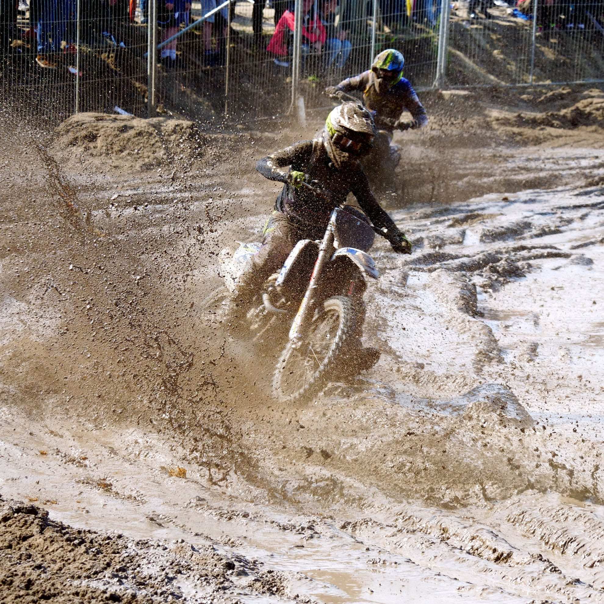 mud – The Wicked Family